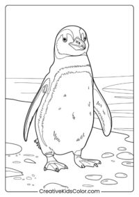 Penguin Coloring Pages (50+ Free Printable PDF)