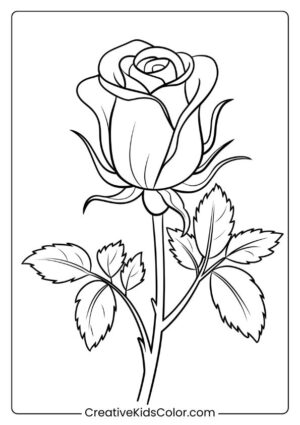 Rose Coloring Pages (30+ Free Printable PDF)