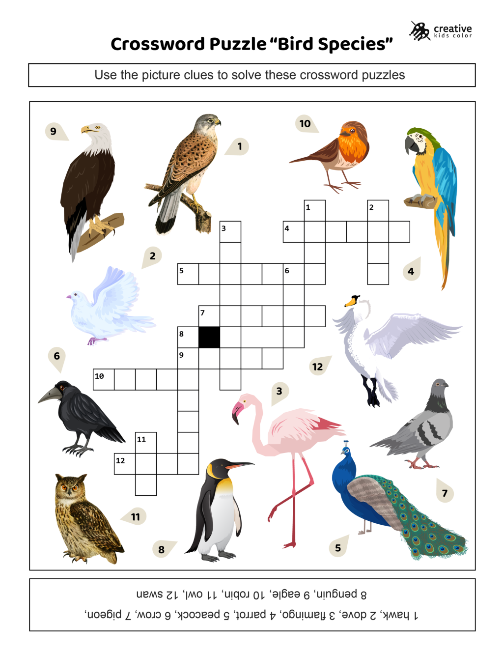 Bird Species Crossword Puzzle (Free Printable PDF)
