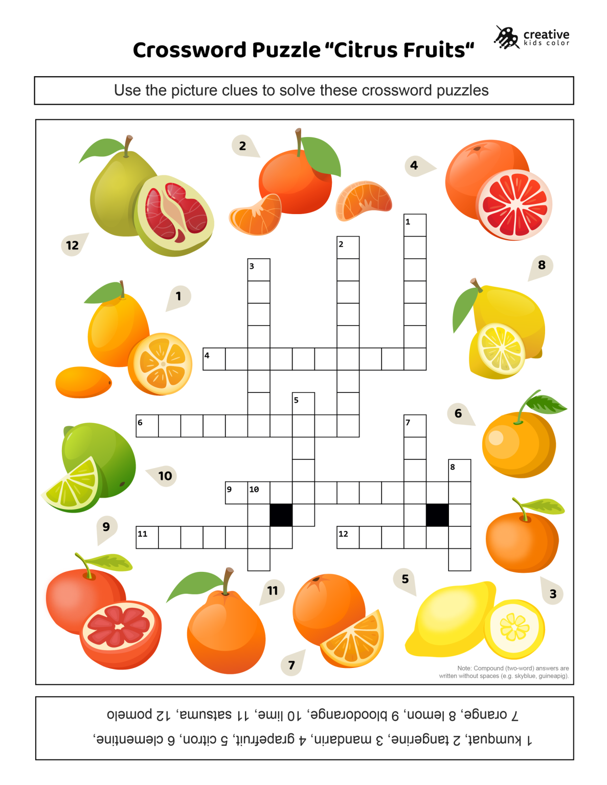 Citrus Fruits Crossword Puzzle (Free Printable PDF)